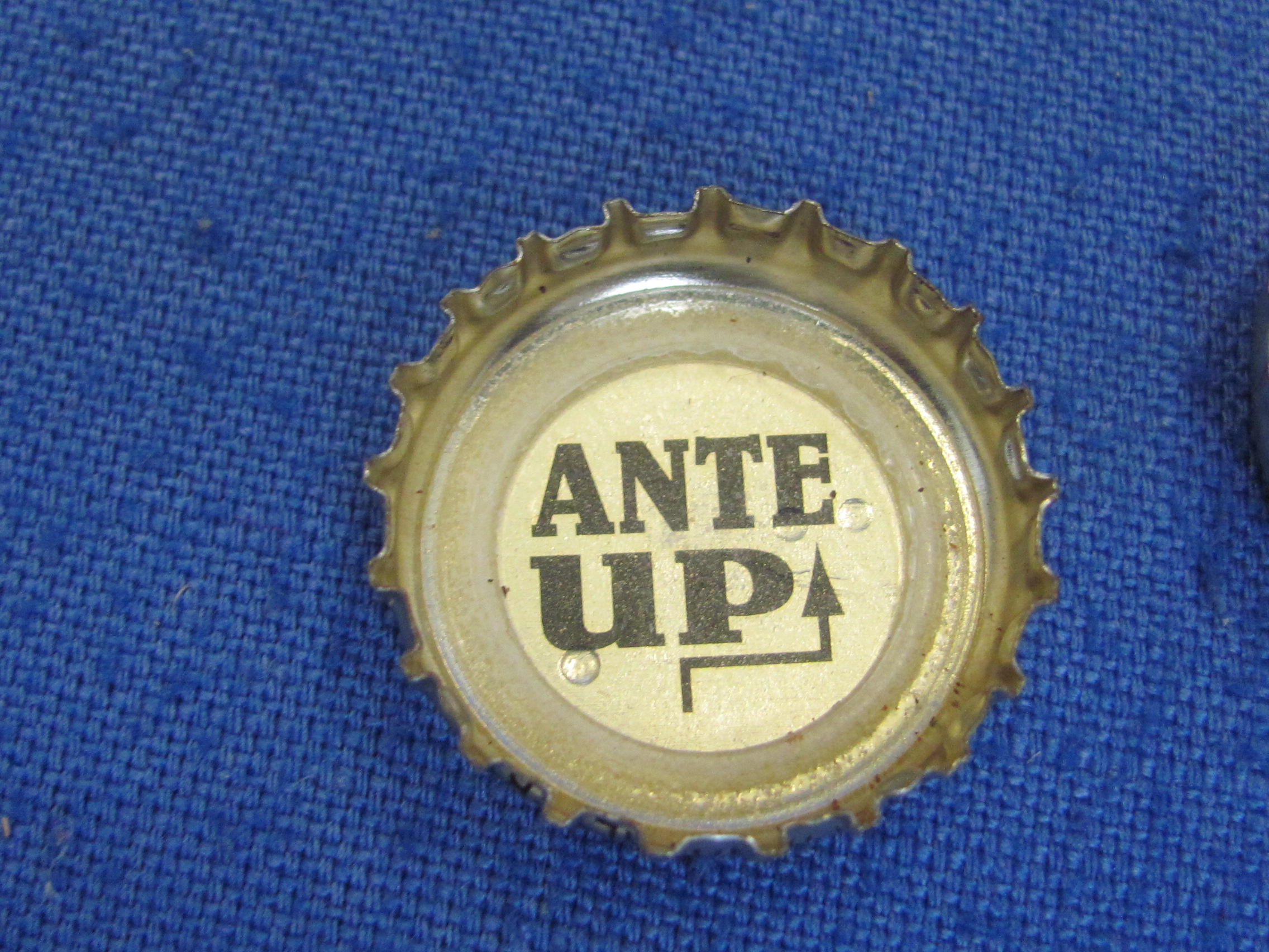 Red Dog Beer Cap