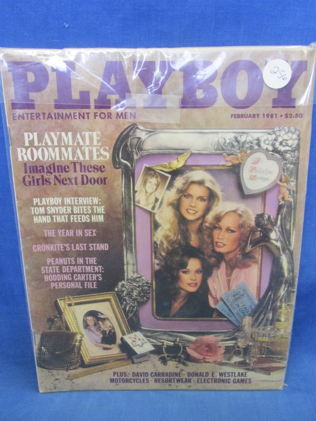 Terri Welles Vintage