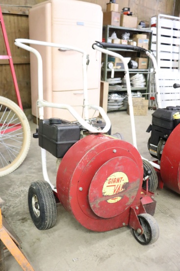 Briggs and Stratton 8hp, Giant Vac Blower model-190402 | Online ...