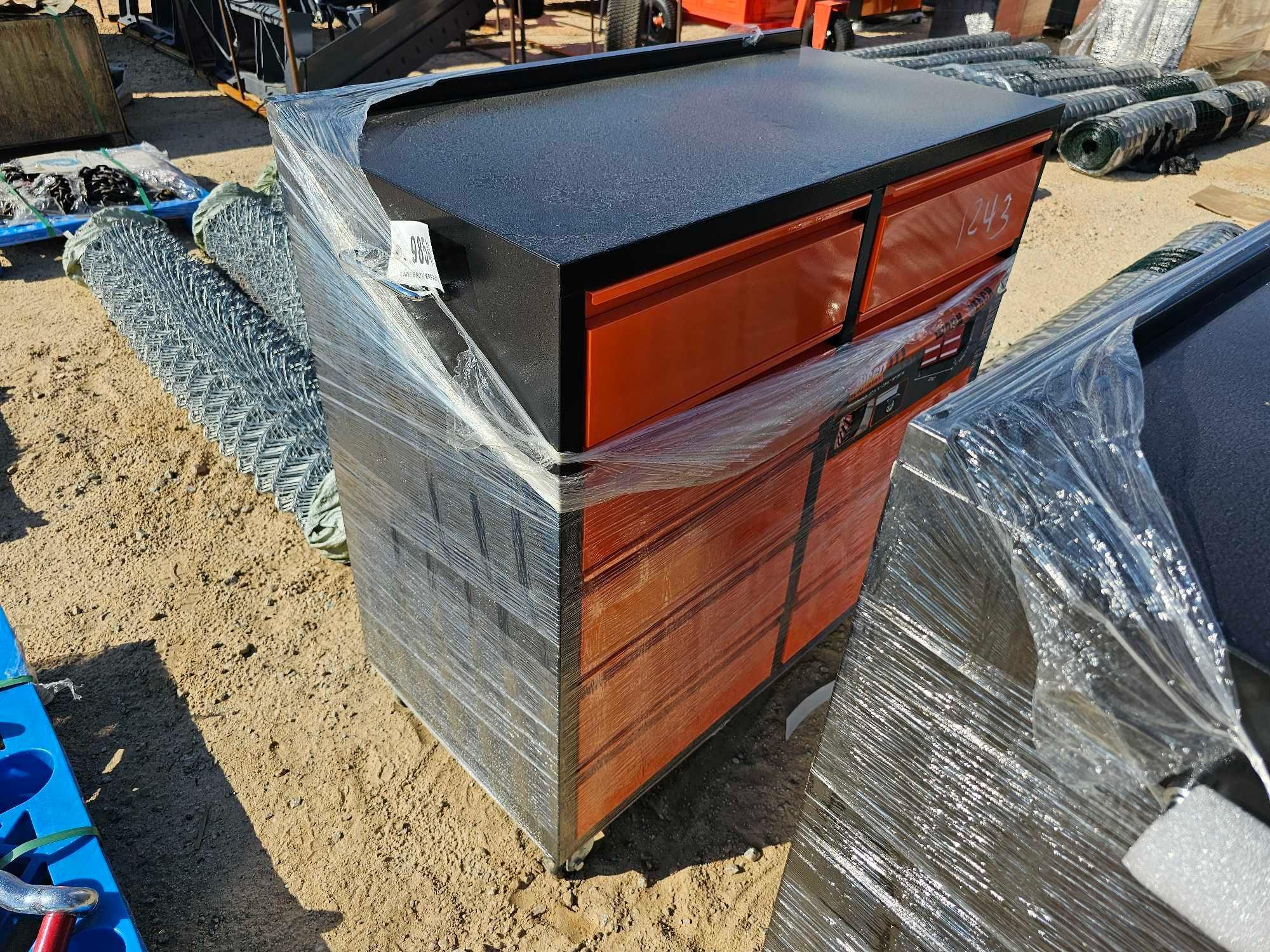 1243 - ABSOLUTE - DIGGIT WORK BENCH & HAND TOOLS | Proxibid