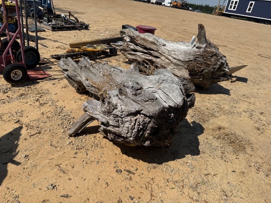 5236 - FAT LIGHTER STUMP | Online Auctions | Proxibid