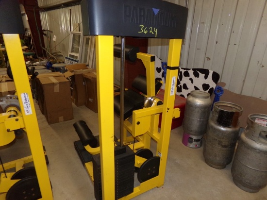 Paramount Lower Back Machine | Online Auctions | Proxibid