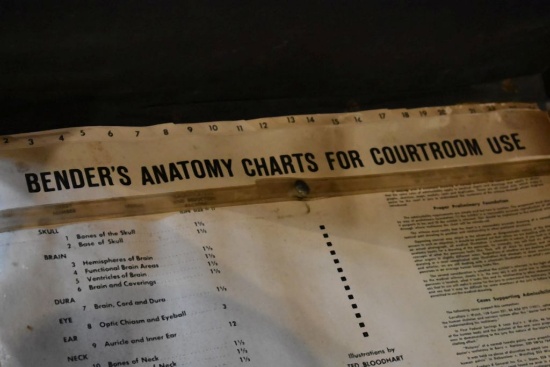 BENDER'S ANATOMY CHARTS FOR COURTROOM USE | Art, Antiques ...