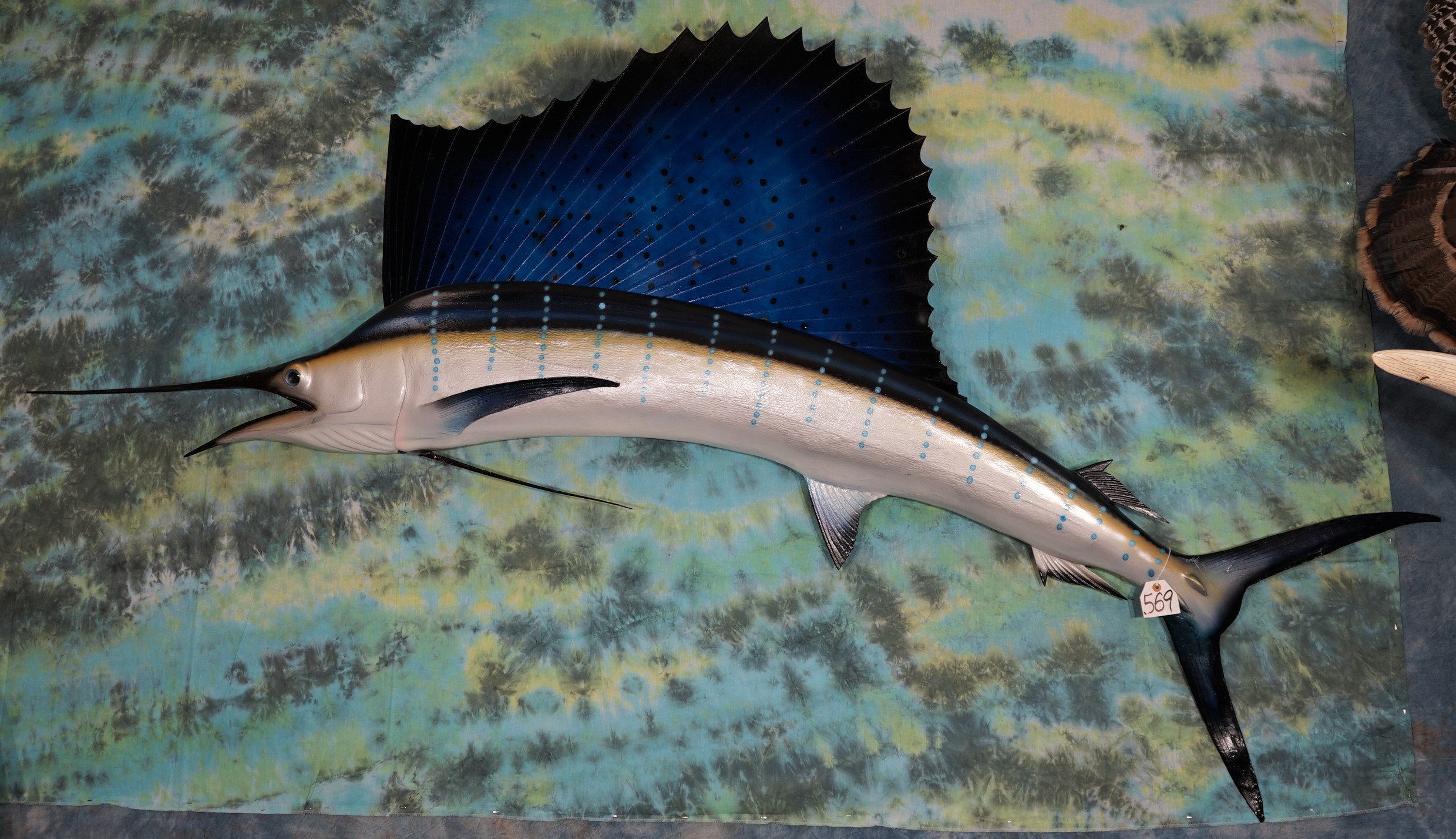 Awesome! 8ft. & 4 1/2" Pacific Sailfish Taxidermy | Proxibid