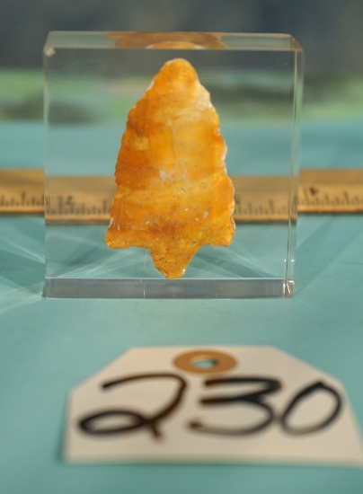 Rare! Florida Hillsborough Spear Point made from Gold colored Coral in ...