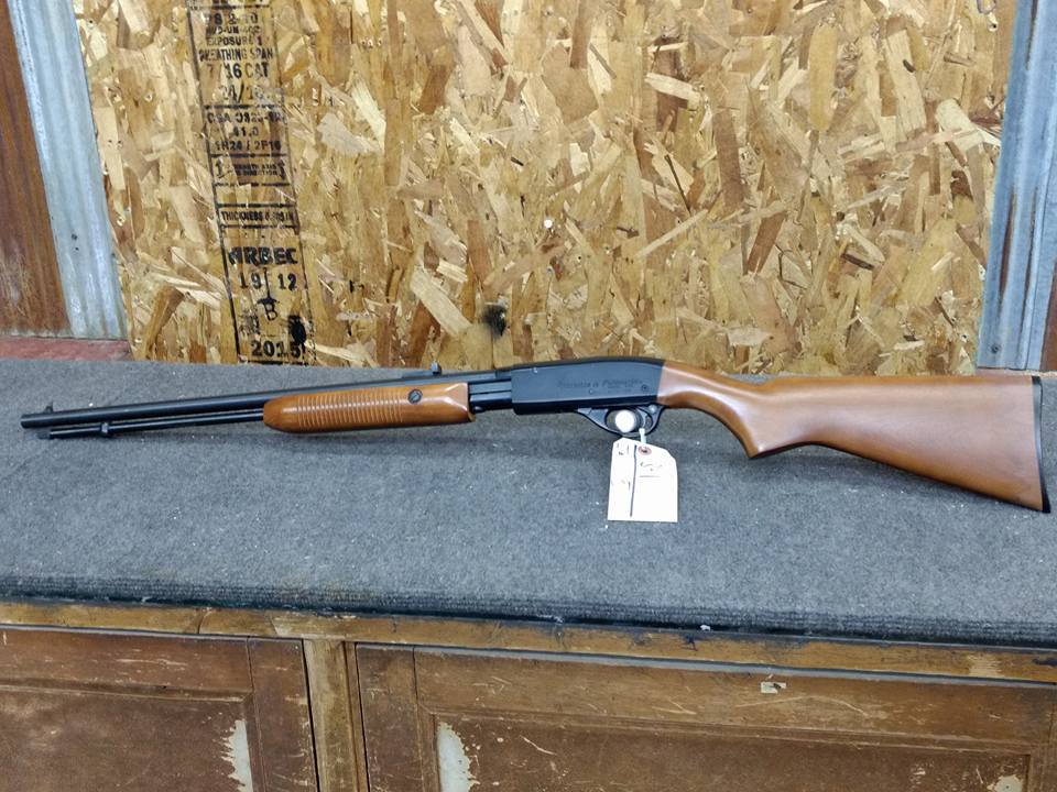 Remington 22 Rifles