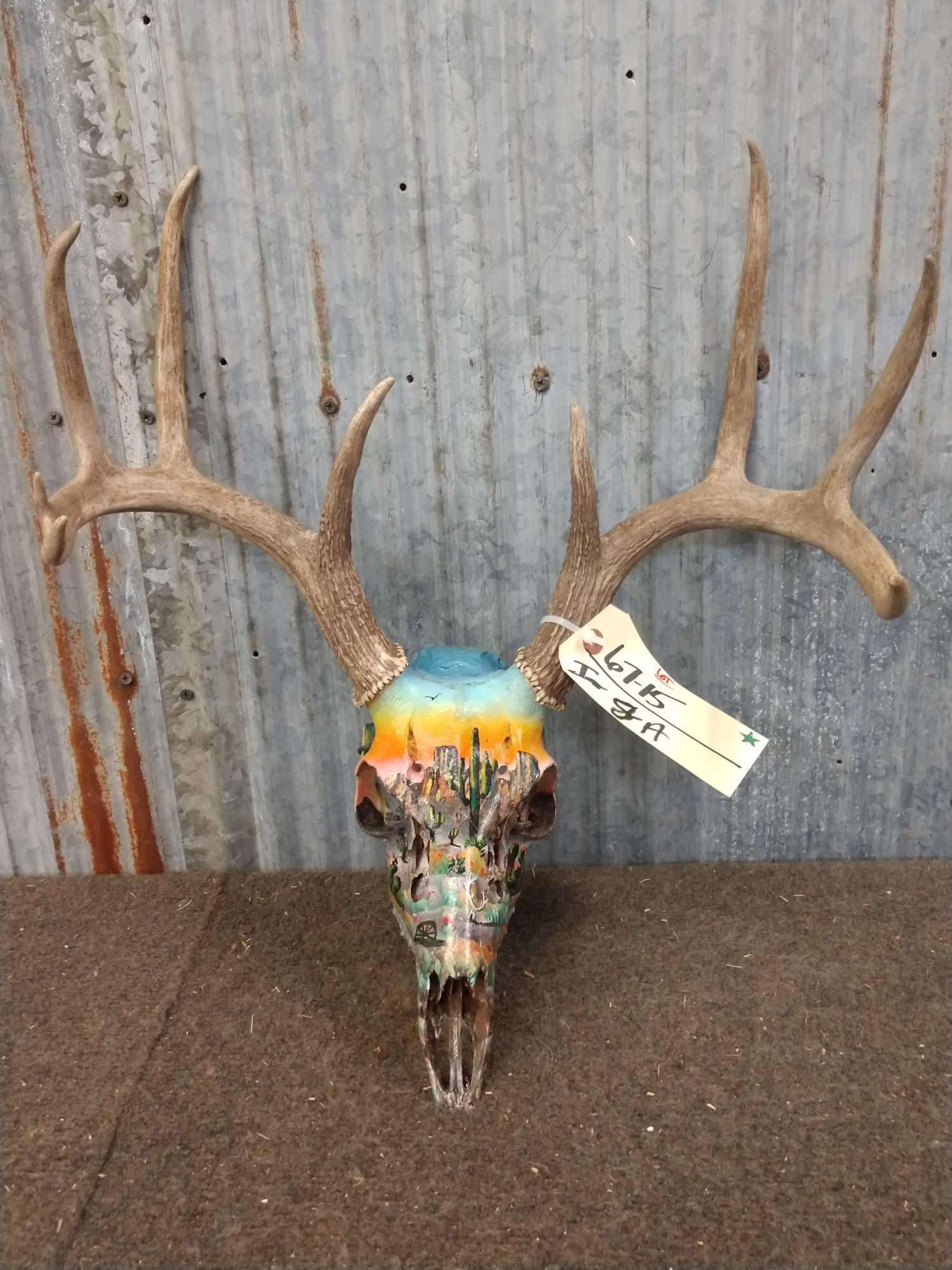 Painted Deer Skull Mount