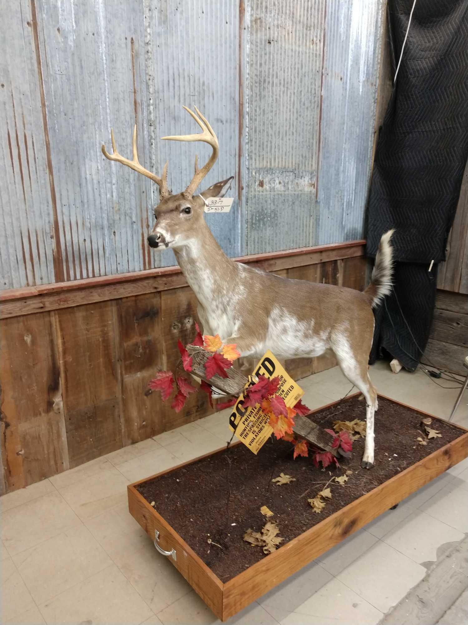 Jumping Whitetail Deer Mounts 2021 Deer Mounts | Michigan Sportsman