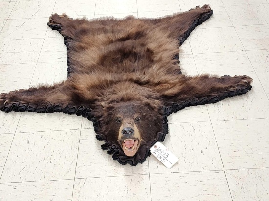 Cinnamon Phase Black Bear Rug Taxidermy | Art, Antiques & Collectibles ...