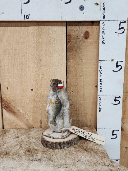 Fishing Rat Full Body Taxidermy Mount | Art, Antiques & Collectibles ...