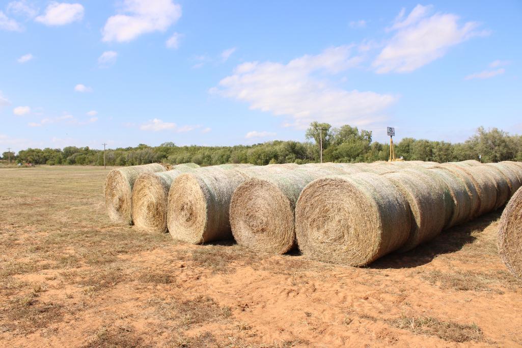 (20) 4x5 BERMUDA GRASS ROUND BALES OF HAY SALES | Proxibid