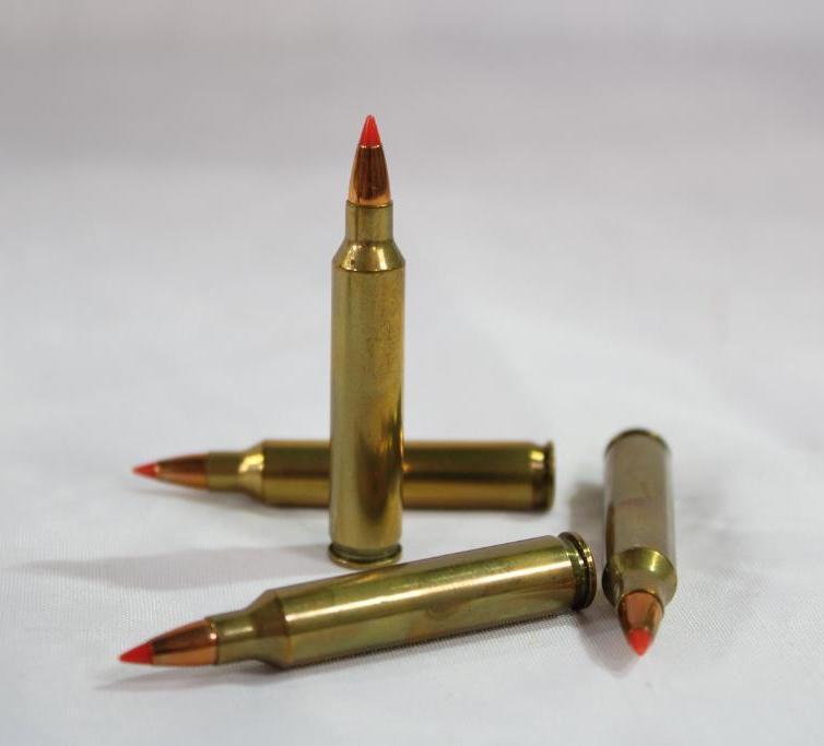 One box of Hornady 204 Ruger 32 gr V-Max. New, | Proxibid