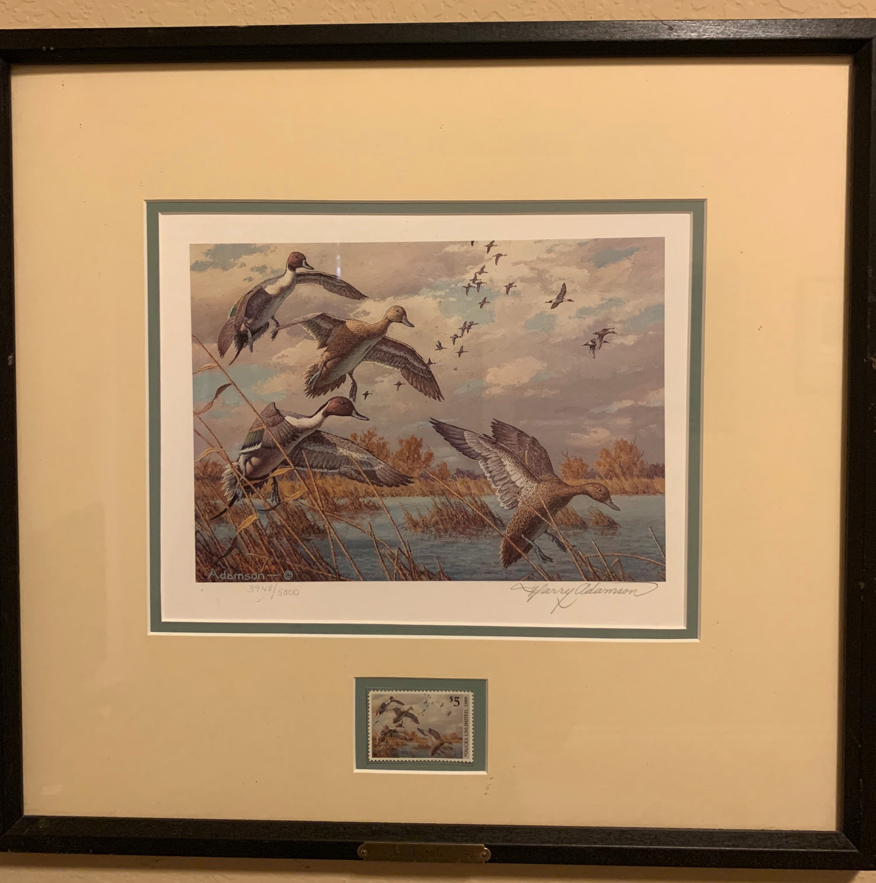 Ducks Unlimited Paintings