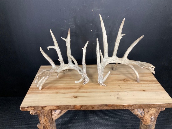 210 Plus Inches Whitetail Sheds | Art, Antiques & Collectibles ...