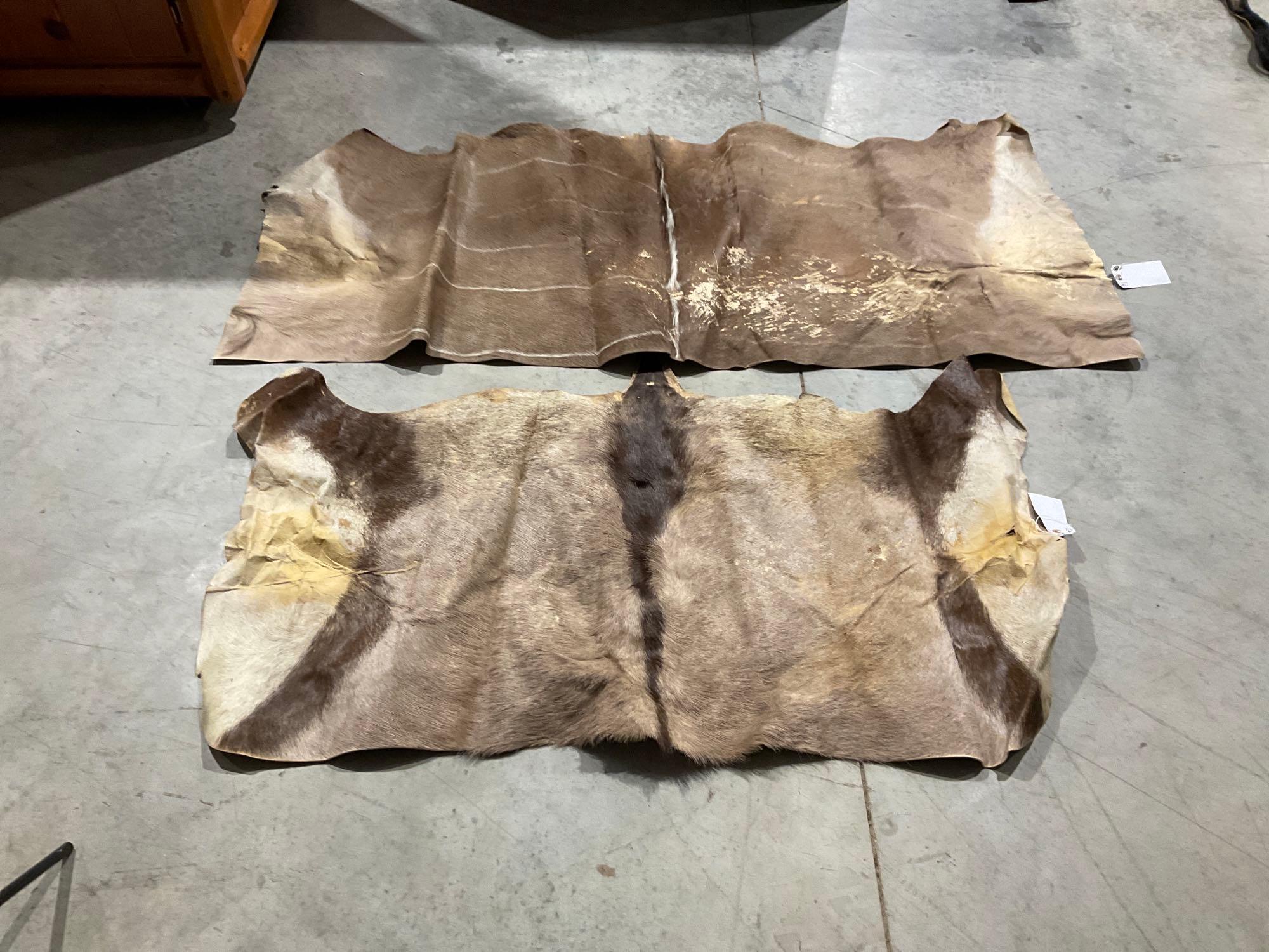 2 African Hides Oryx & Eland | Proxibid