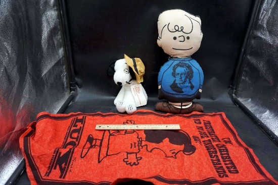 Snoopy Fabric Poster, Snoopy & Charlie Brown Character (Damage To The ...