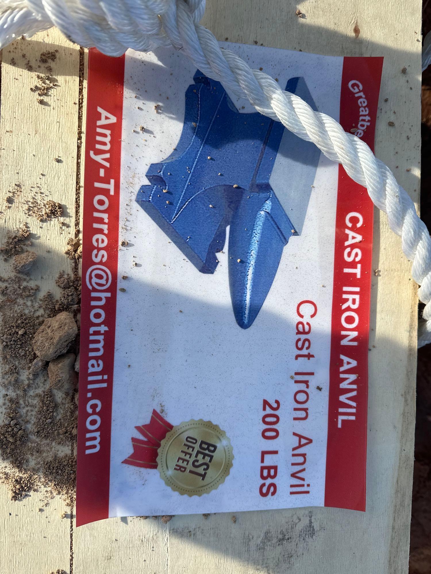 GREAT BEAR CAST IRON ANVIL 200 POUNDS | Proxibid