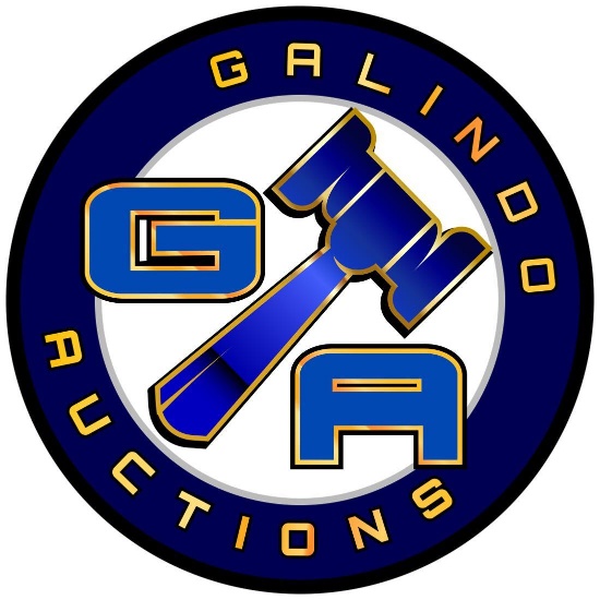 Galindo Auctions Auction Catalog - Roma ISD Online Auctions | Proxibid