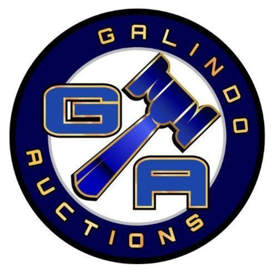 Galindo Auctions Auction Catalog - City of Raymondville Online Auctions ...