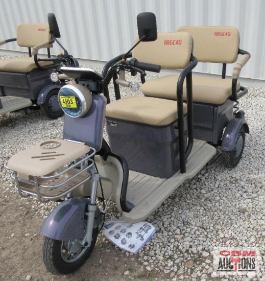 IRGC 40 Mini Golf Cart/Tricycle, Led Smart Screen, 3 Speeds, 60 Volt ...