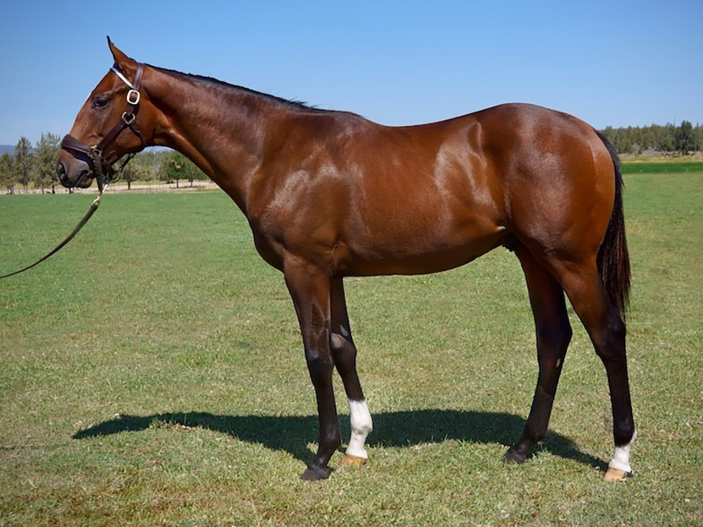 Tapiture Most Popular Photos