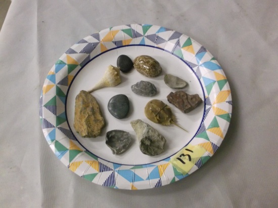 ancient artifacts and ocean items, various stone tools and shells also ...