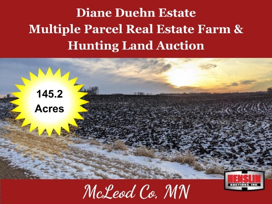 Henslin Auctions, Inc. Auction Catalog - MULTIPLE PARCEL REAL ESTATE ...