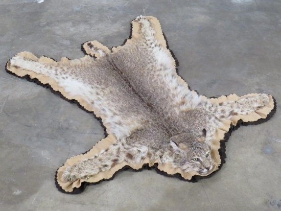 Nice Felted Bobcat Rug w/Mounted Head and All Claws TAXIDERMY | Art ...