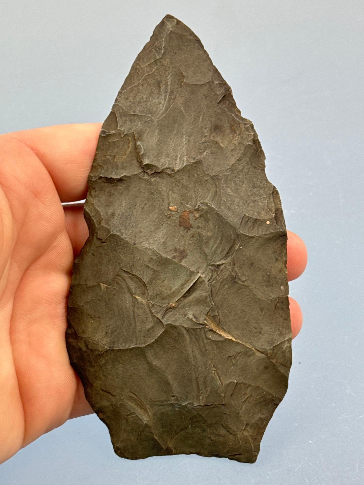 BEST of BEST 5 3/8" Green Normanskill Chert | Proxibid