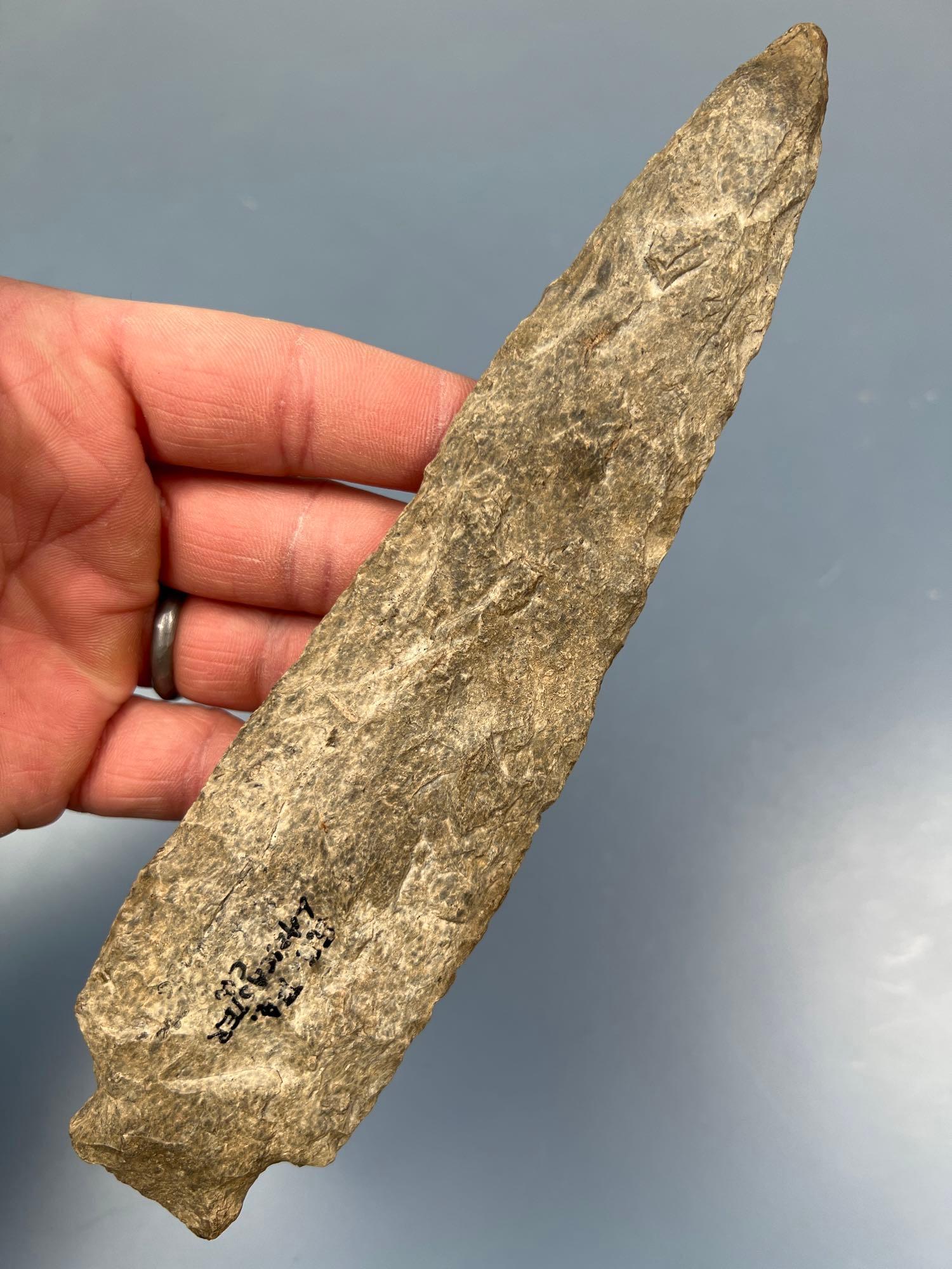 HIGHLIGHT Massive 8" Rhyolite Archaic Stem Point, | Proxibid