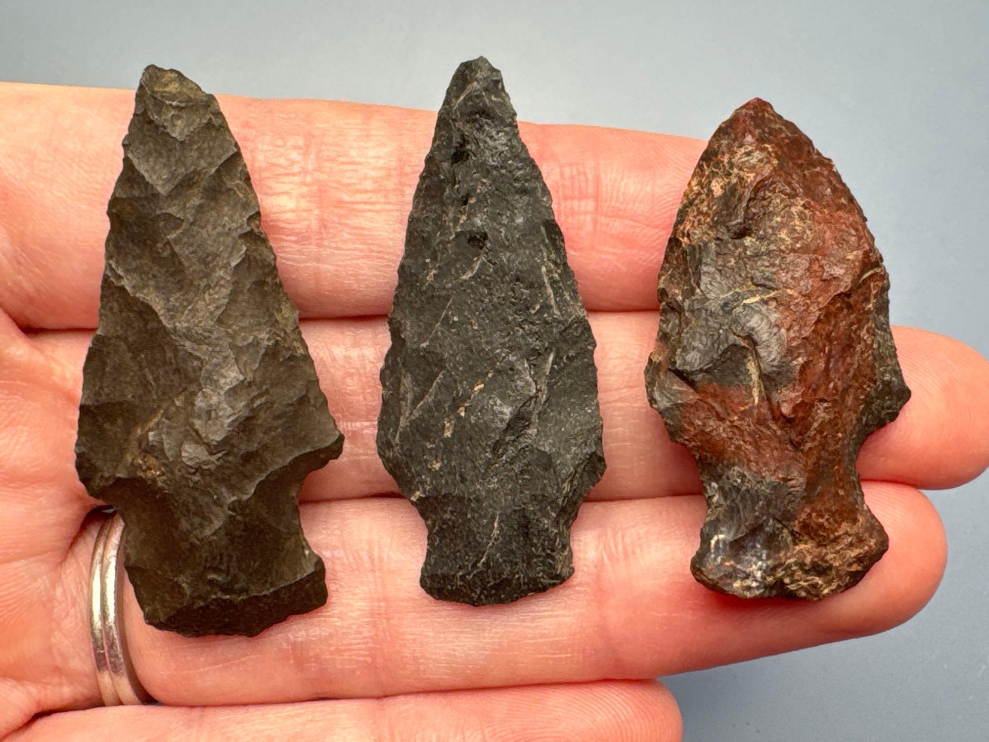 Lot of 3 Lamoka Points, Found in Wayne Co., NJ, | Proxibid