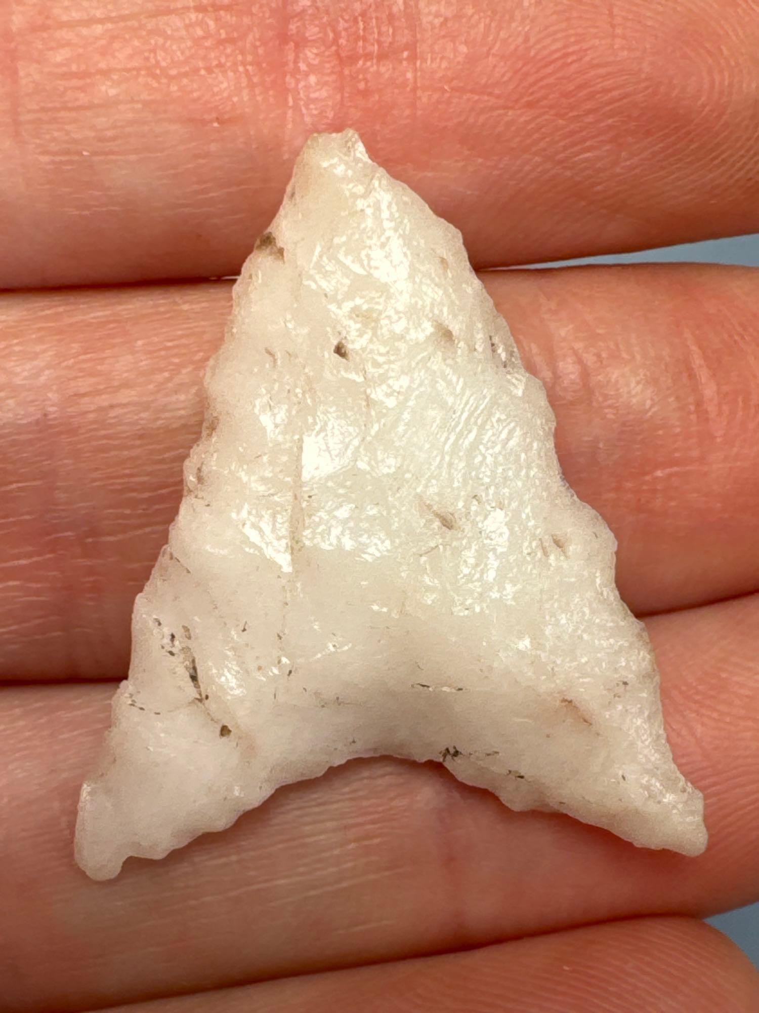 1 1/4" White Quartz Levana Triangle Point, Found | Proxibid