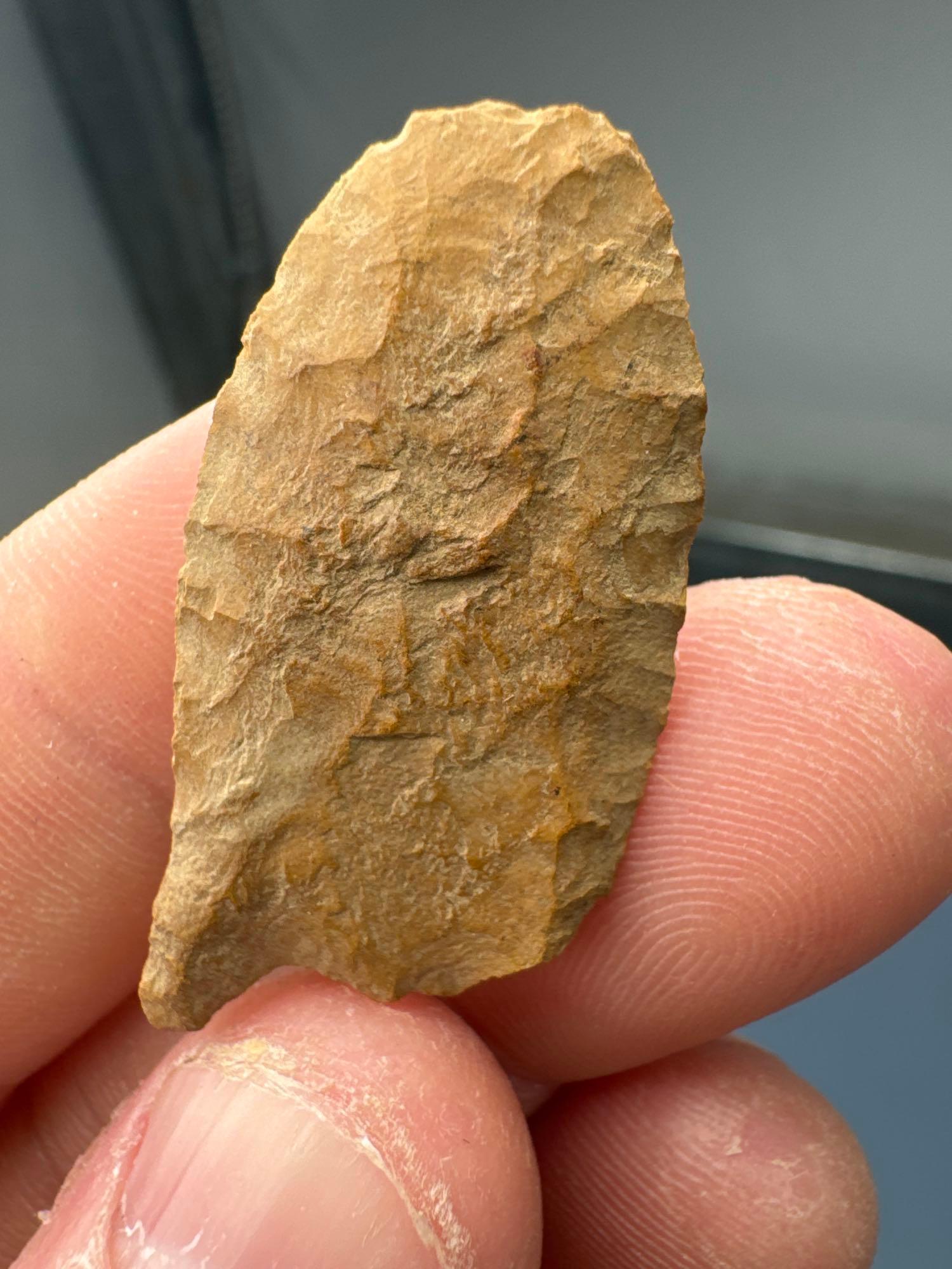 RARE 1 1/2" Jasper Fluted Clovis Point, Found in | Proxibid