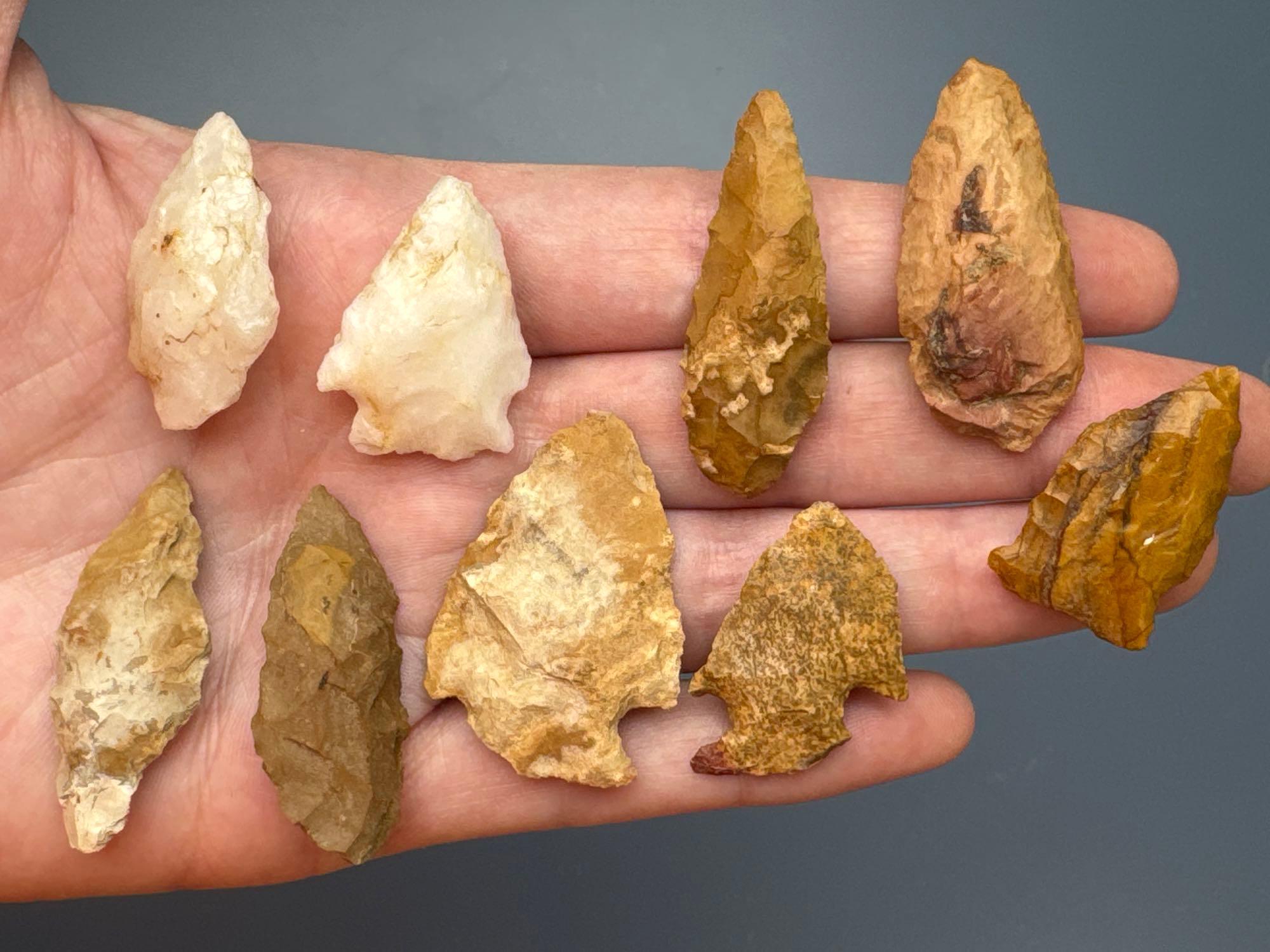 9 Various Cobble Jasper Points, Found in | Proxibid