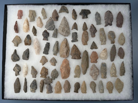 65 Various Arrowheads, Found in Millsboro, Sussex Co., Delaware, Ex ...