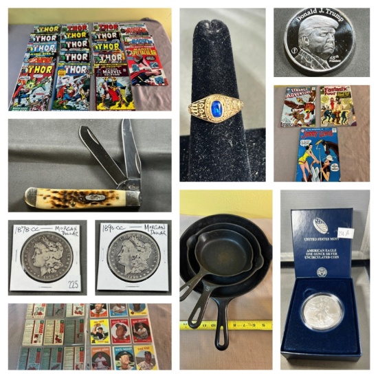 P.A.C.C. Auction Gallery LLC Auction Catalog - COINS, COMICS, SPORTS ...