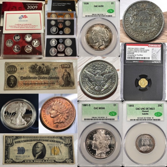 P.A.C.C. Auction Gallery LLC Auction Catalog - Coins, Proof Sets, Key ...