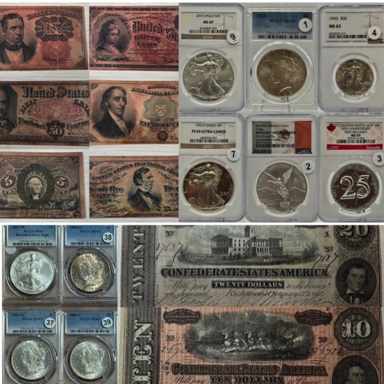 P.A.C.C. Auction Gallery LLC Auction Catalog - ONE OWNER COIN ...