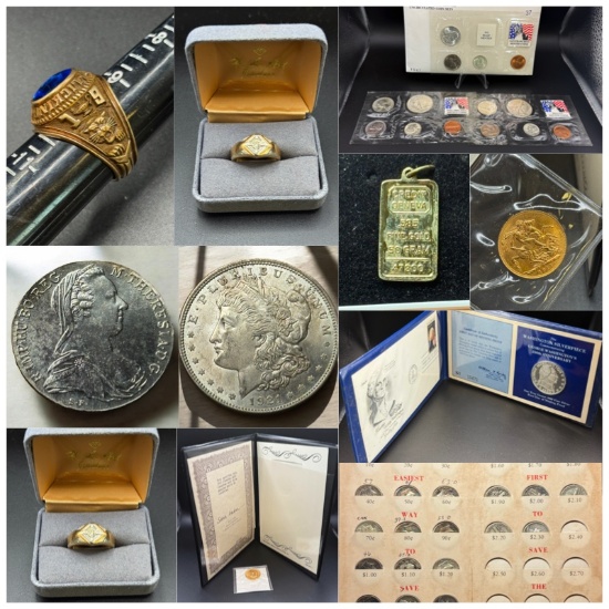 P.A.C.C. Auction Gallery LLC Auction Catalog - ESTATE COIN COLLECTION ...