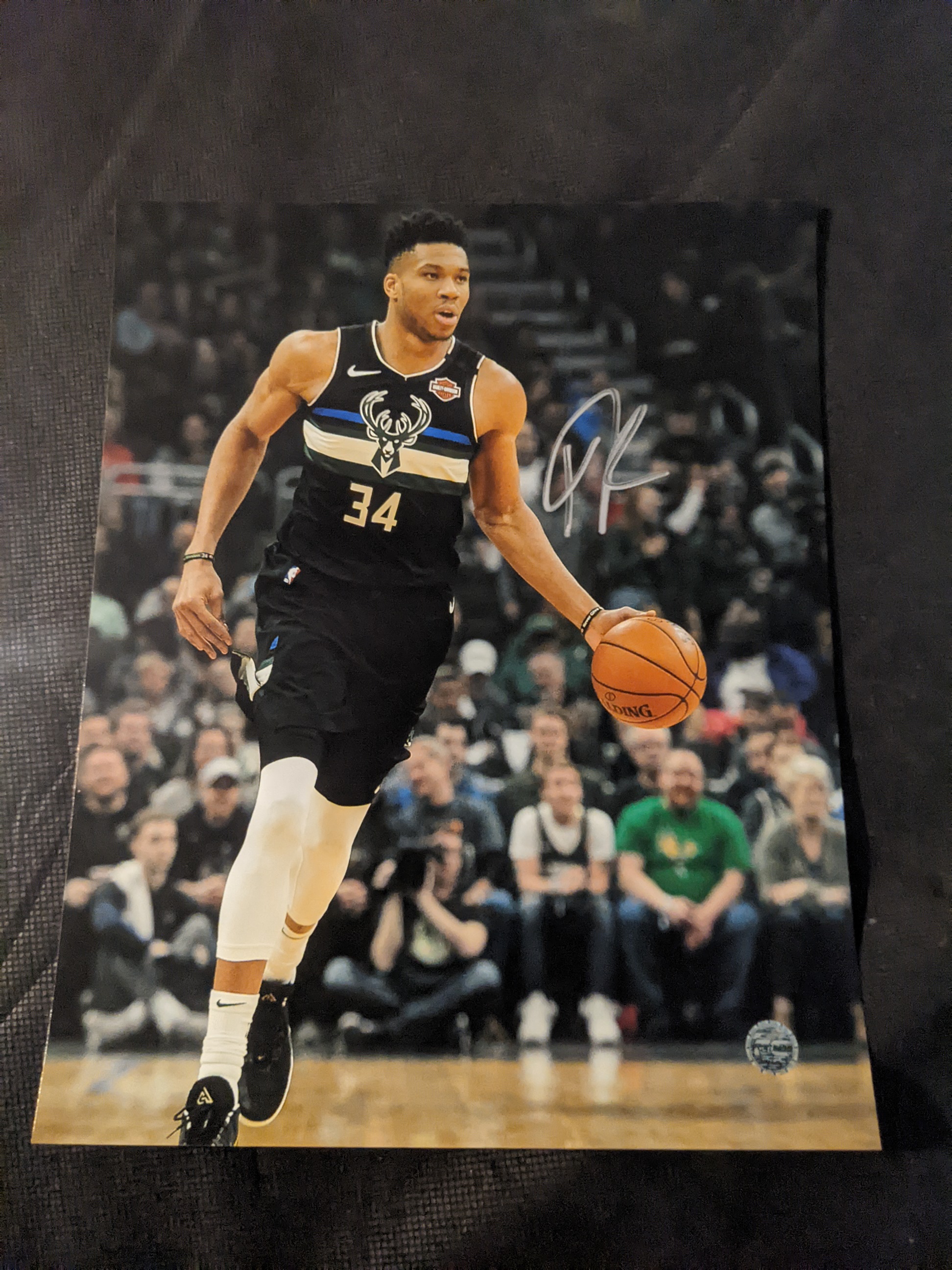 Giannis Antetokounmpo autographed 8x10 photo with | Proxibid