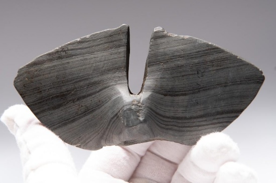An Exceptionally Rare 4-13/16" Banded Slate Winged Bannerstone | Art ...