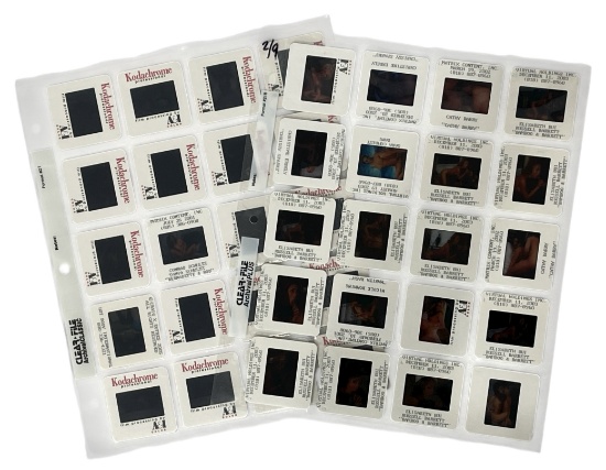 Photo Slide Collection | Online Auctions | Proxibid