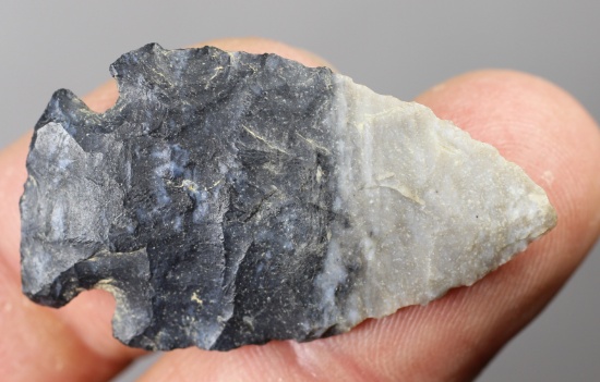 1 11/16" Archaic Corner Notch of Exotic two toned Coshocton Chert found ...