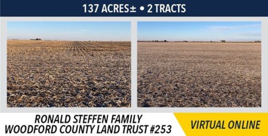 Sullivan Auctioneers, LLC Auction Catalog - Woodford County, IL Land ...