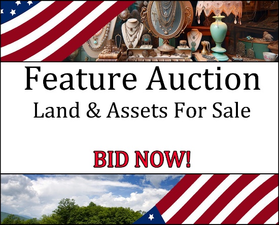 Government Auction Auction Catalog - Premium Land & Asset Sale ...