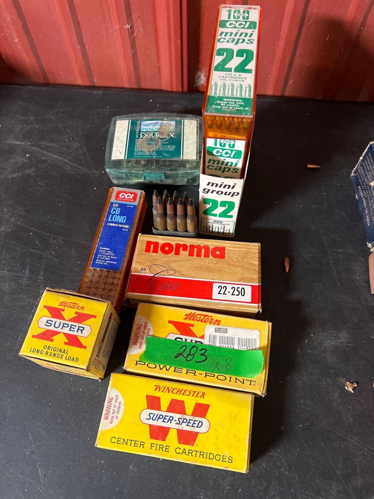 Assorted ammunition lot. NO SHIPPING | Proxibid