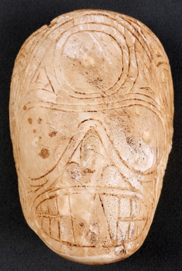 TAINO PRECOLUMBIAN CARVED SHELL OF DOG HUMAN FACE | Art, Antiques ...