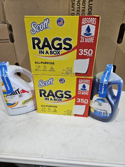 SHOUT Cleaner / DAWN Dish Soap / SCOTT Rags | Online Auctions | Proxibid