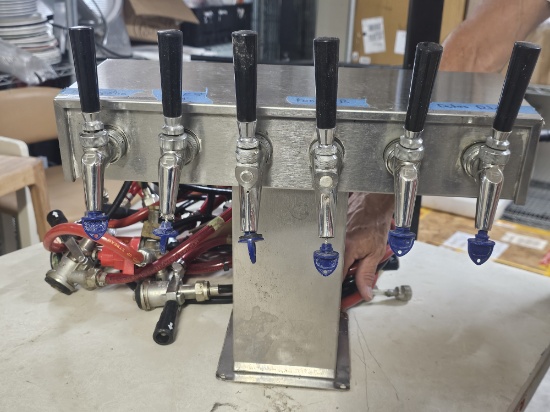 (6) Head S/S Counter Mount Portable Beer Dispensing System with All ...