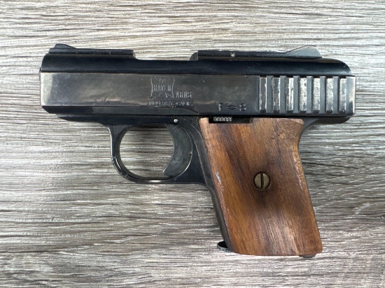 RAVEN ARMS MODEL P25 .25 CAL SEMI-AUTO PISTOL | Guns & Military ...